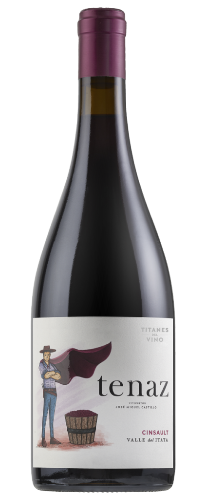 MT Tenaz – Portfólio Qualimpor